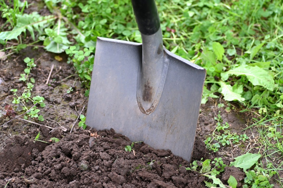 Call Before You Dig: Essential Steps for Texas Homeowners - North East ...